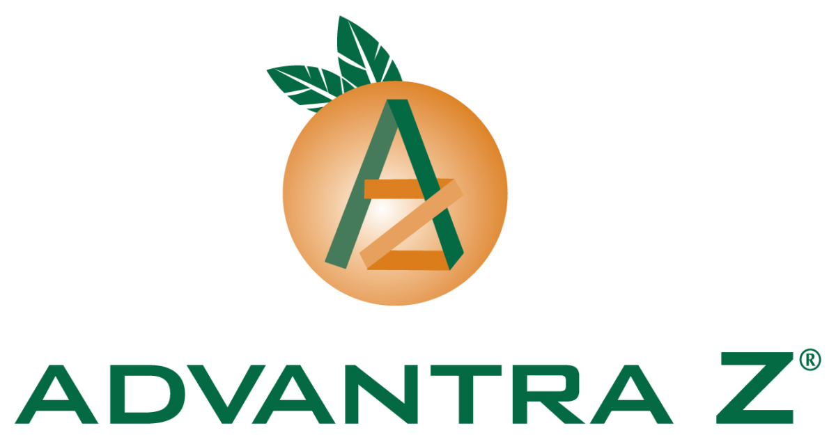 Performix Ion - What's All the Hype About?