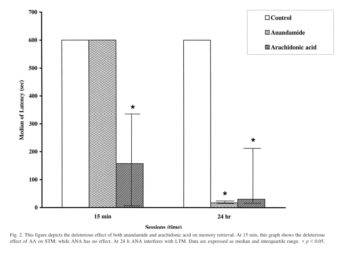 Anandamide: The Body's Blissful Endocannabinoid Molecule