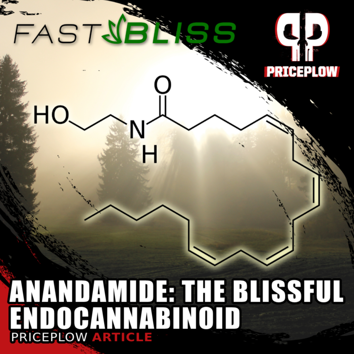 Anandamide: The Body's Blissful Endocannabinoid Molecule