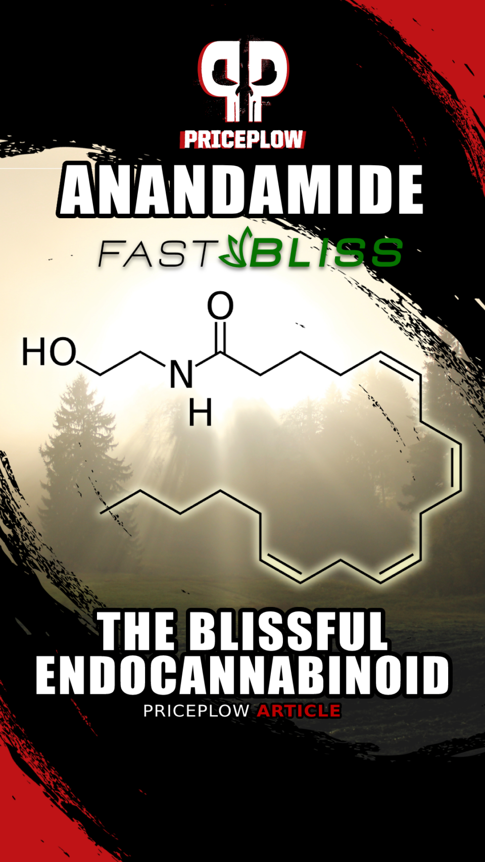 Anandamide: The Body's Blissful Endocannabinoid Molecule