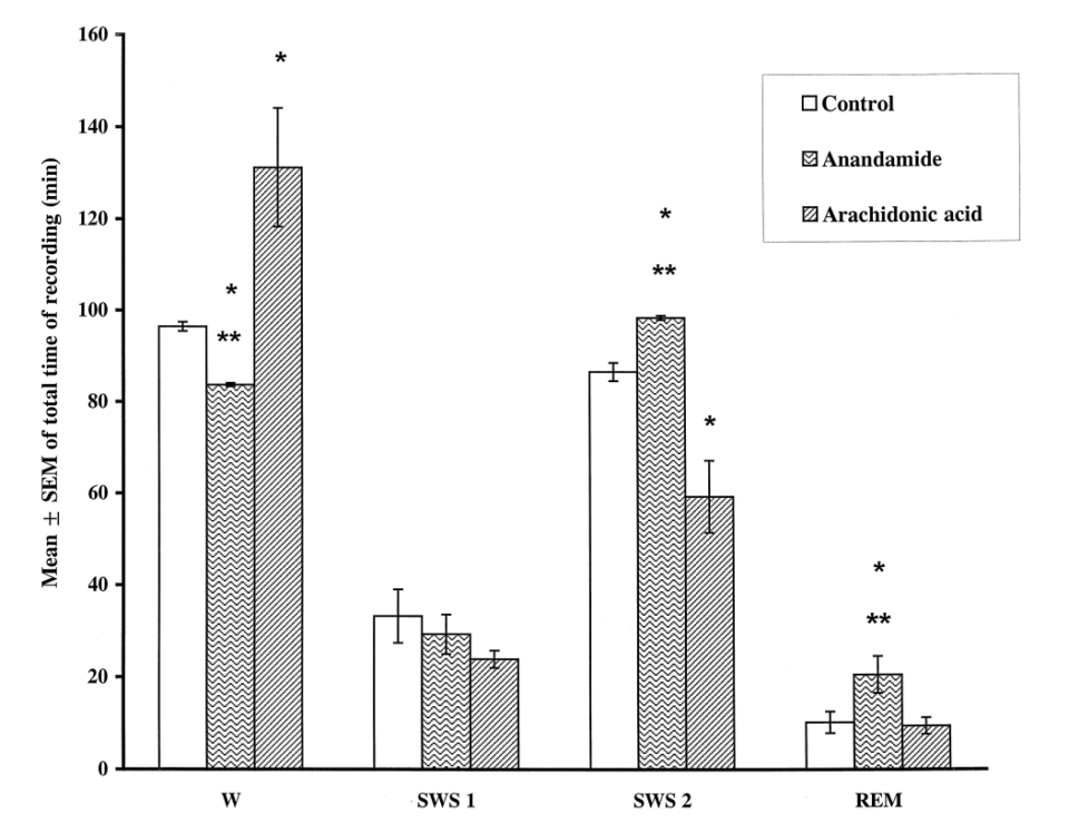 Anandamide: The Body's Blissful Endocannabinoid Molecule