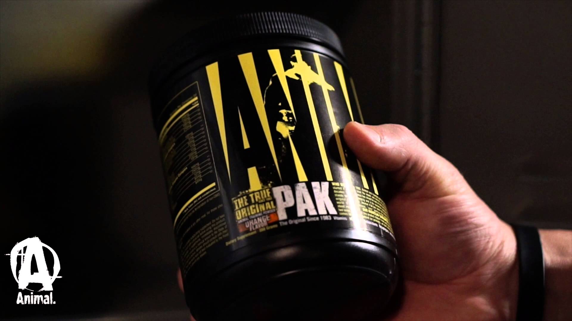 Stilingas Gyvenimas Animal Pak Powder Kaina