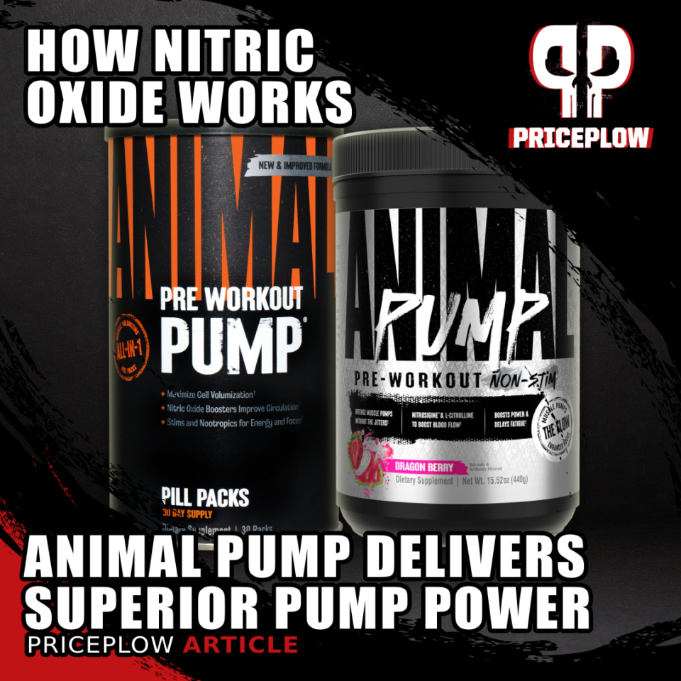 How Nitric Oxide Works in Animal Pump Products: The Science Behind ...
