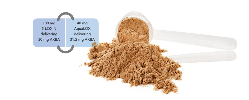 Ghost JOINT: Powdered Joint Support Supplement Where Old Meets New