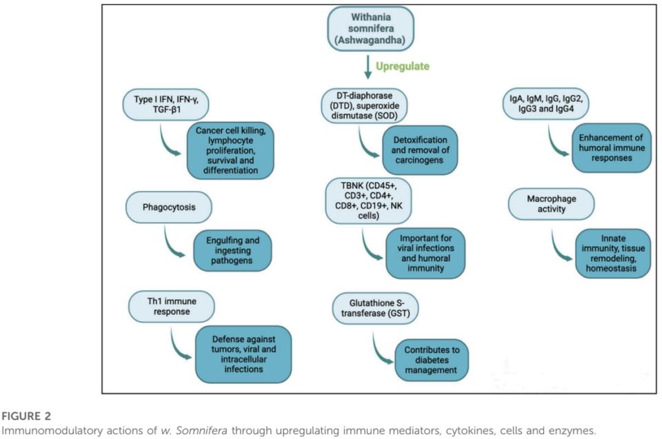 Spectramune: Clinical Research Shows 23% Fewer Respiratory Infections ...