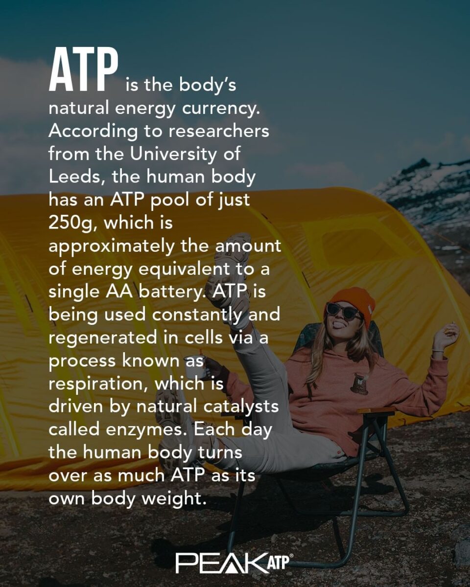 PEAK ATP: The Ultimate Guide to Disodium ATP Supplements