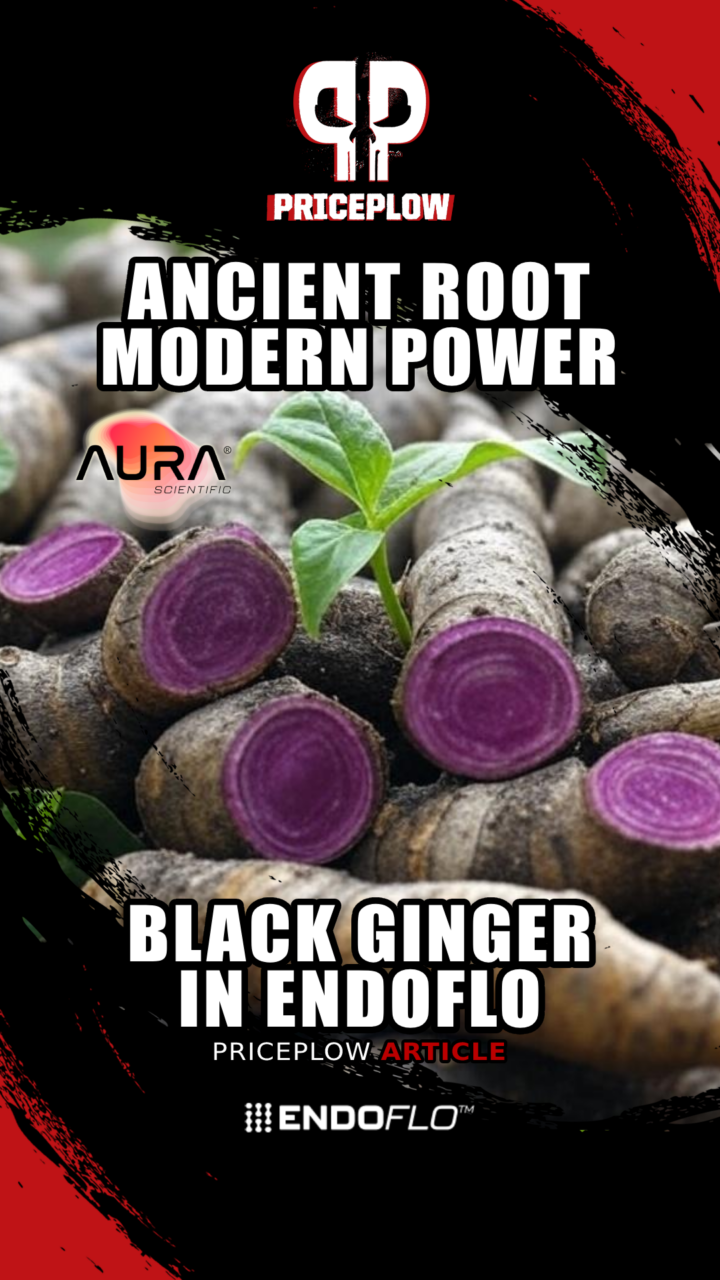 Black Ginger (Kaempferia parviflora): The Energetic Extract in EndoFlo