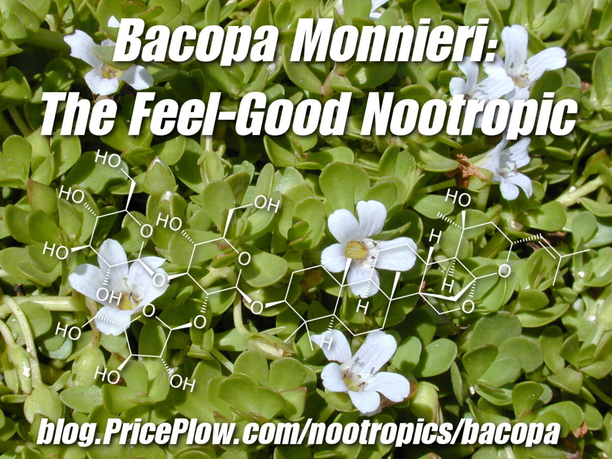 Bacopa Monnieri: The "Feel Good" Nootropic
