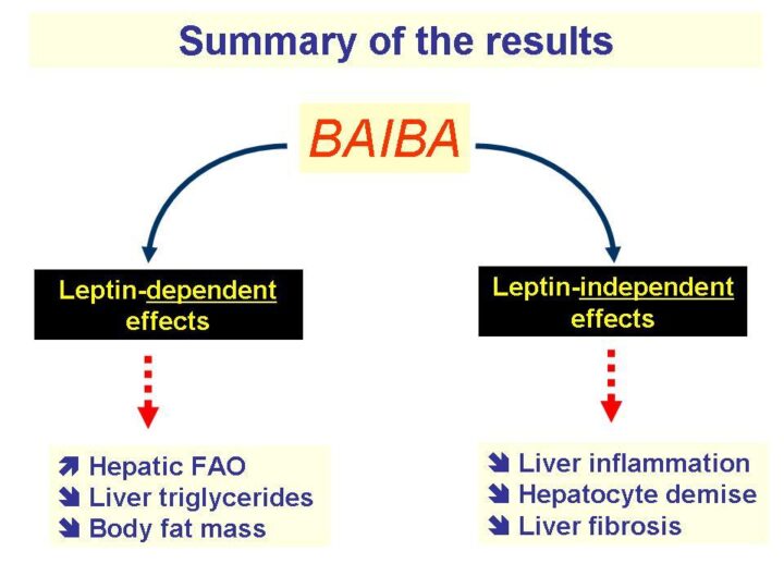 Healthgevity Ignite: Healthcare-Centric Metabolic Optimizer