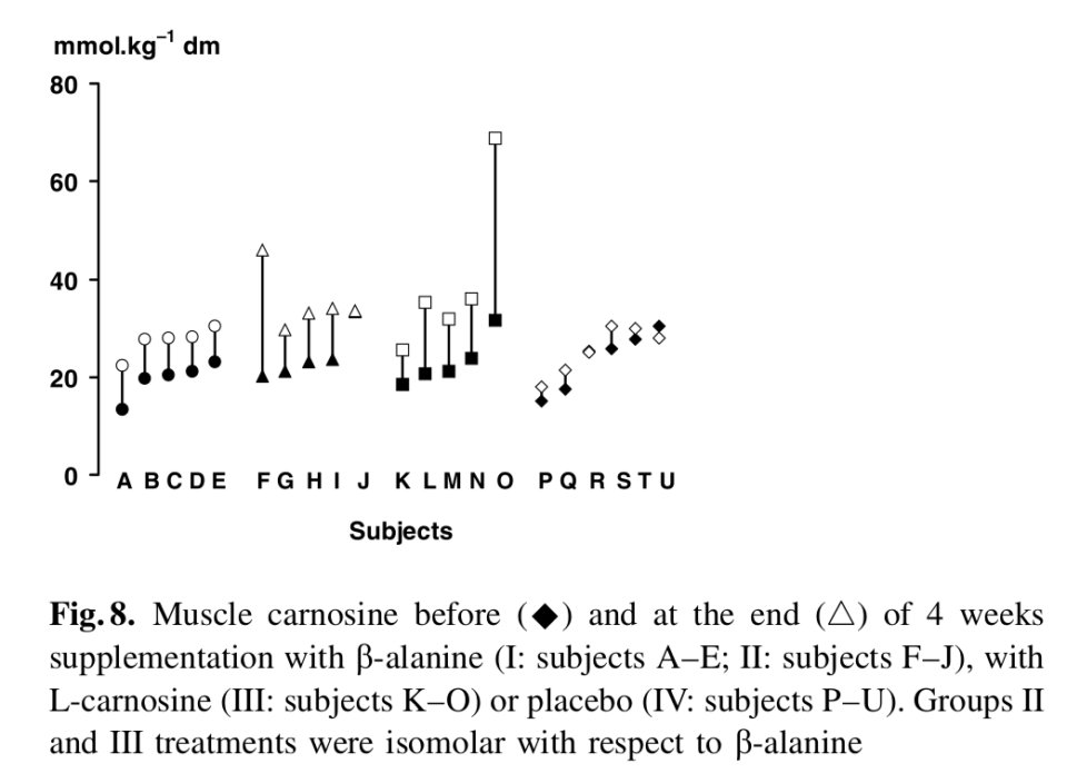 Beta-Alanine: A Powerful and Safe Ergogenic Supplement