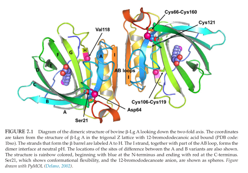 Myprotein "Whey Forward": Animal-Free Protein Fermented from GMO Fungus ...