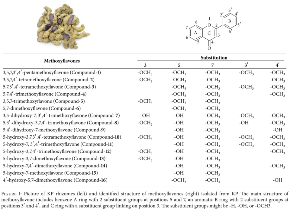 Black Ginger (Kaempferia parviflora): The Energetic Extract in EndoFlo