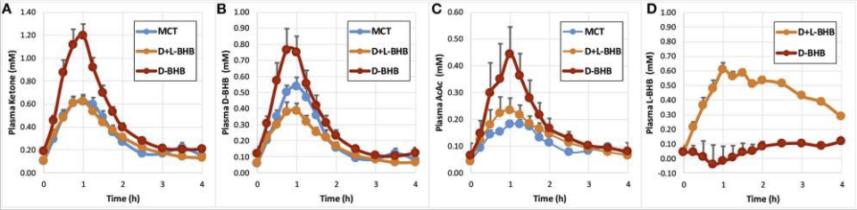 BHB Supplements: The Ultimate Guide to Exogenous Ketones