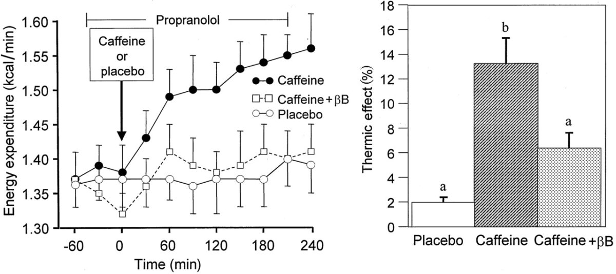 Bodybuilding.com Elite Thermo + BCAA: Burn Fat and Recover