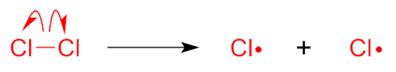 Ergothioneine: The Immunity and Energy Protector