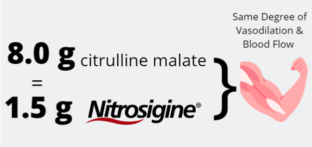 Go Big on Burn and Pumps with Nitrosigine - ThaiMedFood