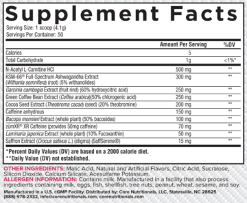 Core Nutritionals BURN: Weight Loss Powder with Punch (2023 Update)