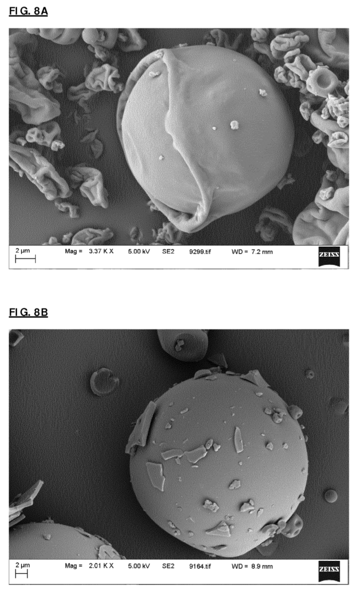 CreaClear Creatine Monohydrate (Kaged Muscle Product Discontinued)