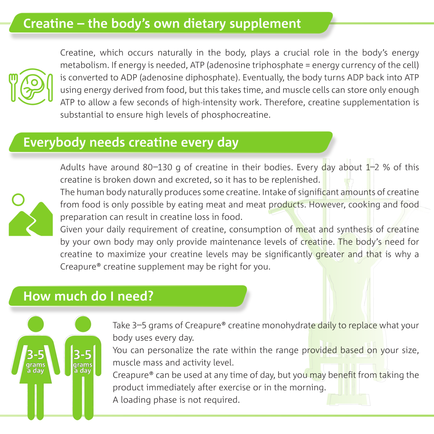 The Creapure Connection: Why Nutristat Only Uses Premium Creatine ...