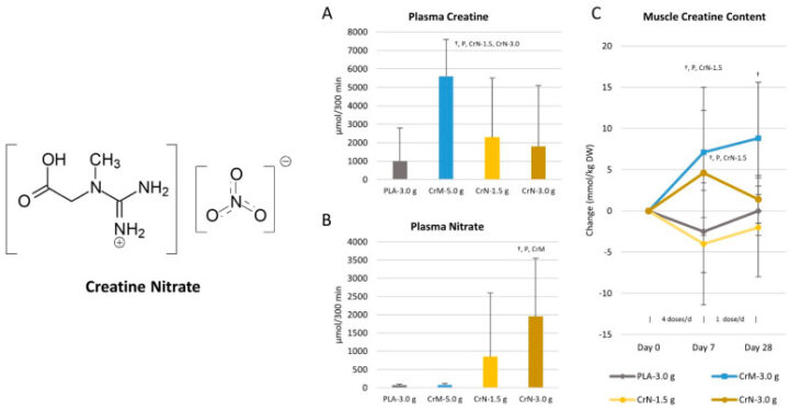 Creatine Myths Debunked: Basic Supplements Sets the Record Straight