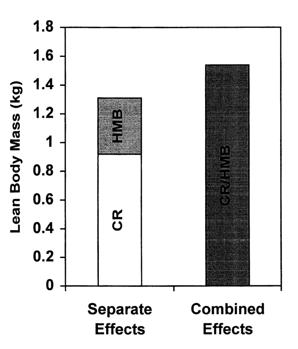 BodyTech Elite Creatine + HMB: The Next Line of Recovery with myHMB
