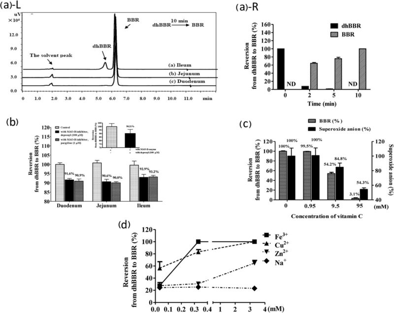 Healthgevity Ignite: Healthcare-Centric Metabolic Optimizer