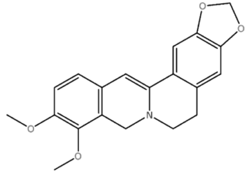 Dihydroberberine: A Better Berberine