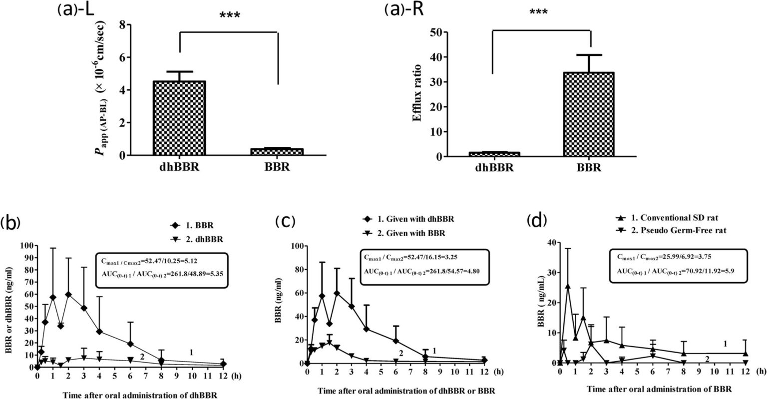 Healthgevity Ignite: Healthcare-Centric Metabolic Optimizer