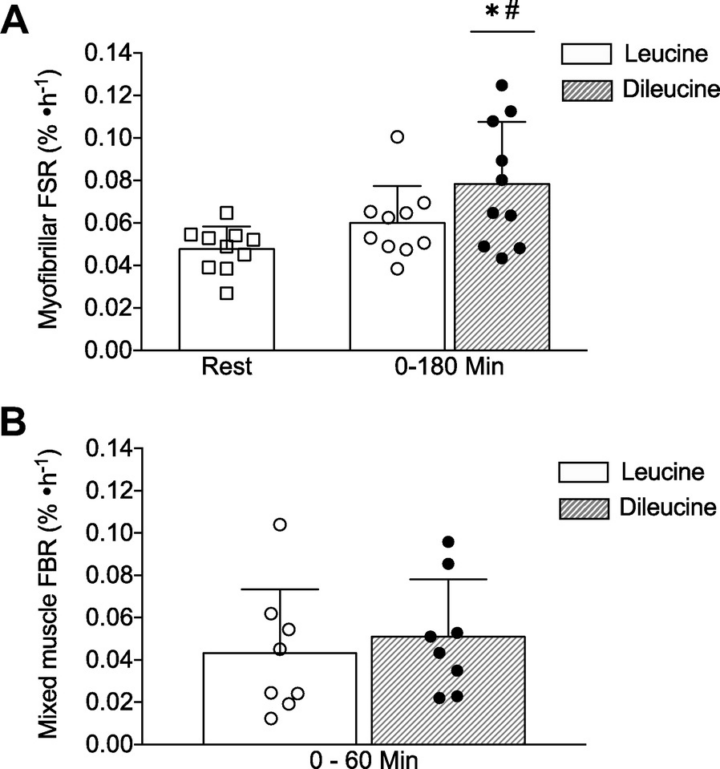 DL185 Dileucine for Anti-Aging: Protecting the Muscle with Peptides