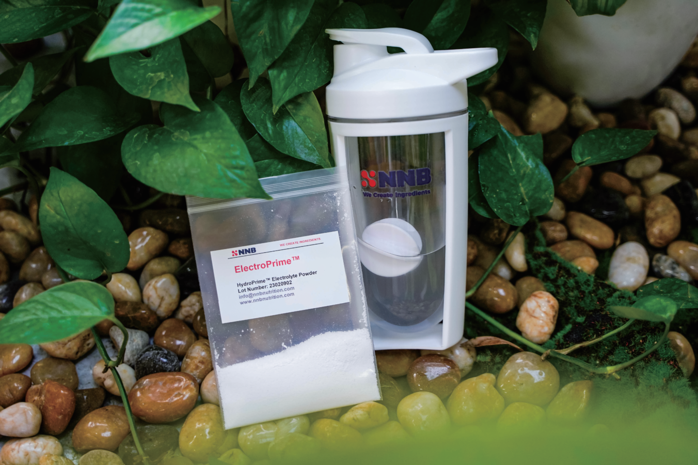 NNB Nutrition's ElectroPrime Beats Today's Hydration Formulas with ...