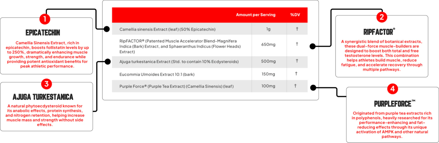 Enhanced Labs Muscle Pro: Natural Muscle Builder with RipFACTOR and Plant-Based Anabolics