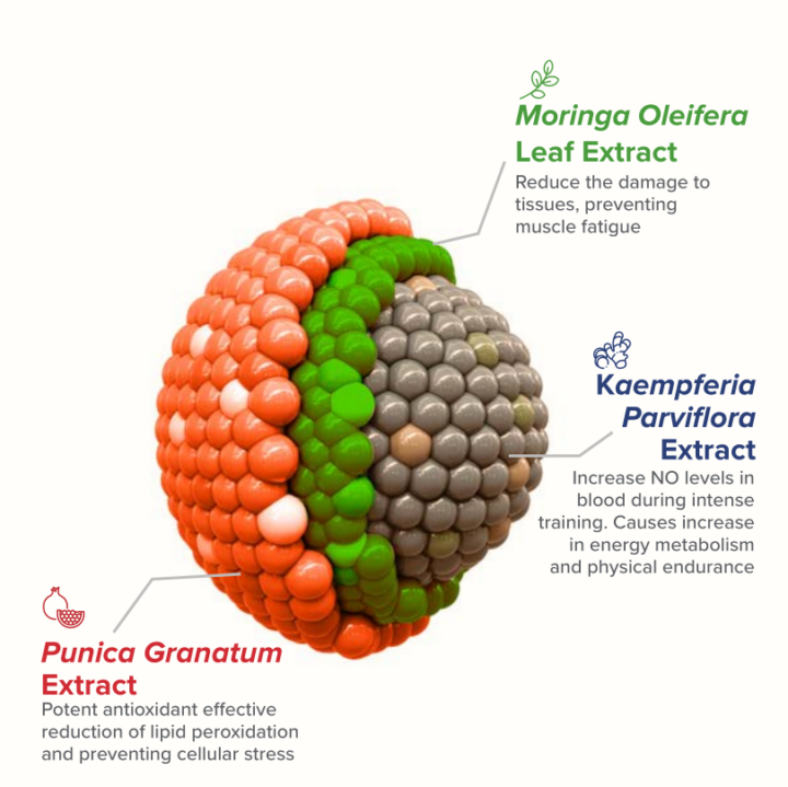 Fitnox: Nitric Oxide Faciliation That's Fast-Acting and Long-Lasting