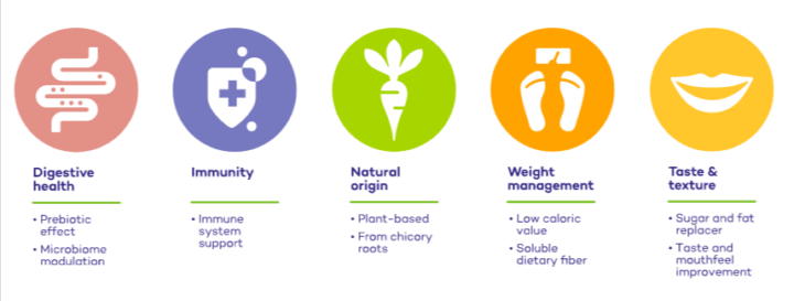 NutraBio Plant Protein is Here (and One Flavor is Astonishing!)