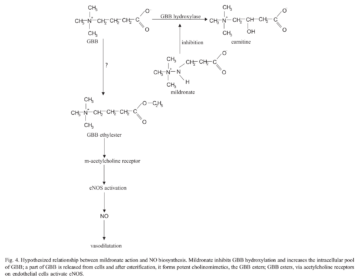 Feral Stim: The Tren Twins Pre-Workout Takes Energy to New Levels