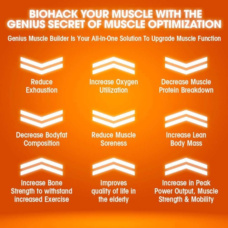 The Genius Muscle Builder: Natural Muscle Gains Like a Genius