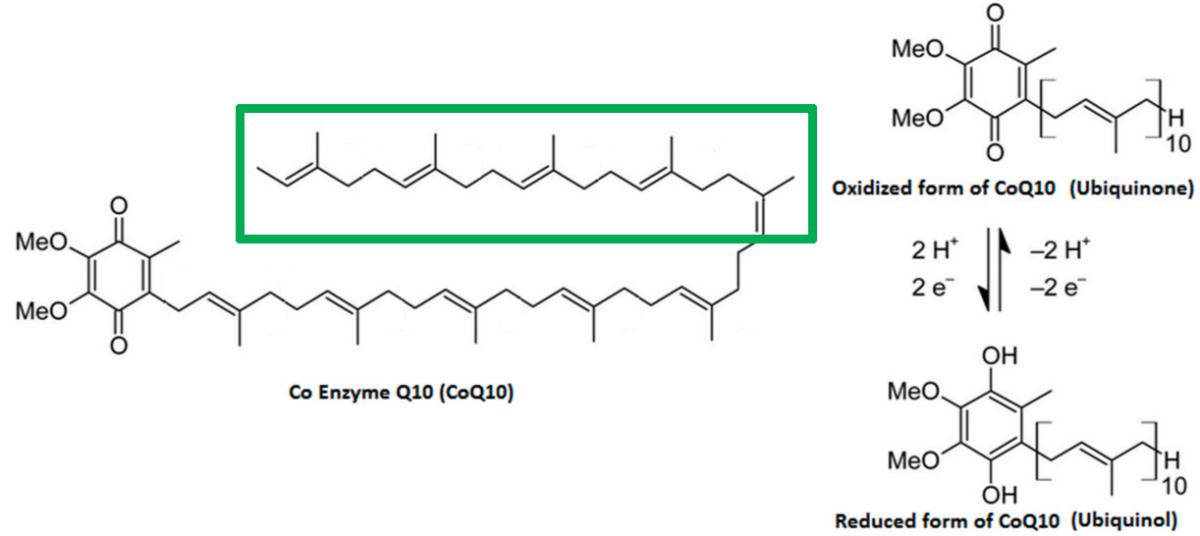 Formulating Five Supplements with GG-Gold (Geranylgeraniol): Formulator ...
