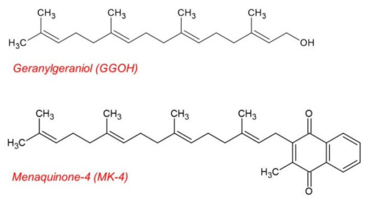 GG-Gold (Geranylgeraniol): The Most Important Essential Nutrient You've ...