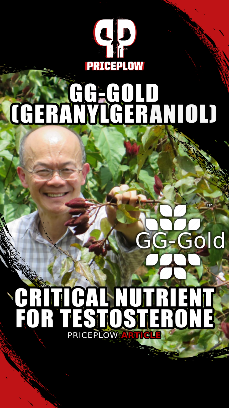 Formulating Five Supplements with GG-Gold (Geranylgeraniol): Formulator ...