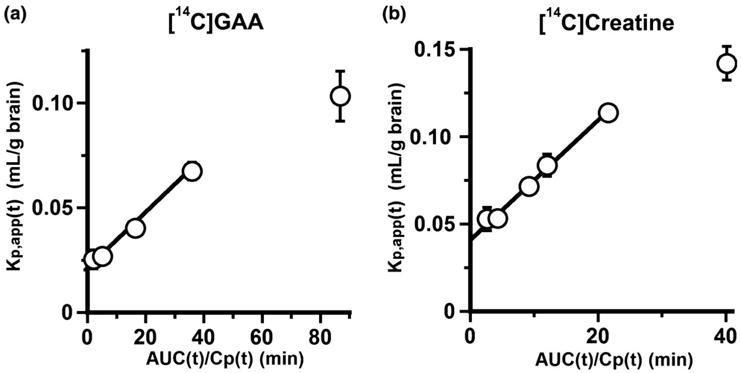 Guanidinoacetic Acid (GAA): A Guide to Creatine's Precursor - Benefits ...