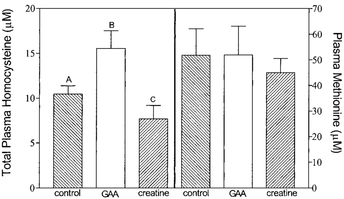 Guanidinoacetic Acid (GAA): A Guide to Creatine's Precursor - Benefits ...