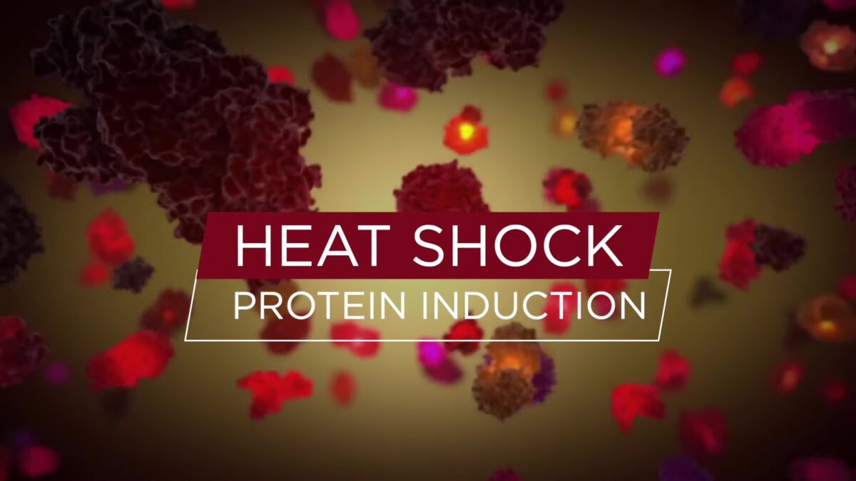 ETAS®: Boost Health by Boosting Heat Shock Protein Production