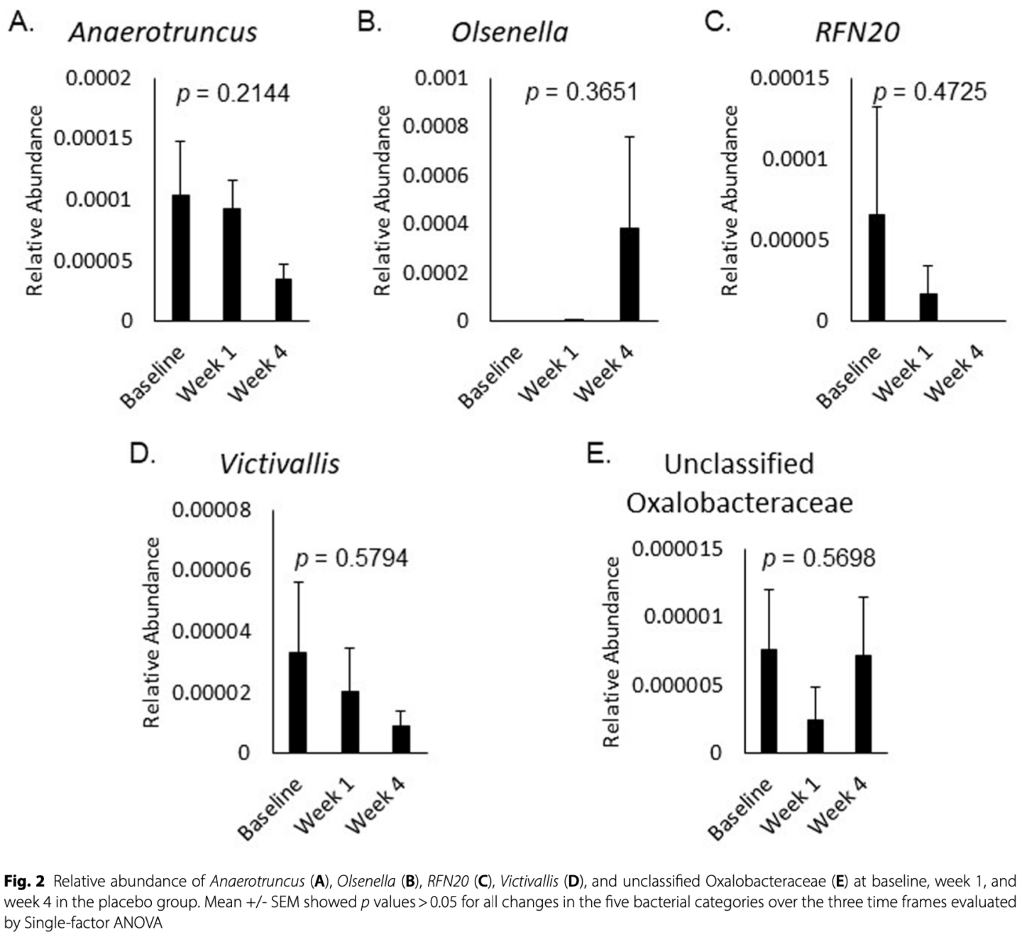 The Akkermansia Revolution: How Resistant Potato Starch Supports ...