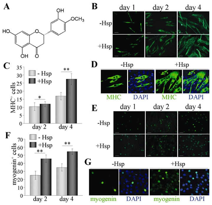 Modere CURB Sets a New Standard in Weight Loss and Appetite Suppression ...
