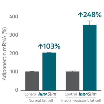 InnoSlim: Potent Stim-Free Weight Loss Ingredient by NuLiv Science ...
