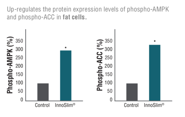 Healthgevity Ignite: Healthcare-Centric Metabolic Optimizer