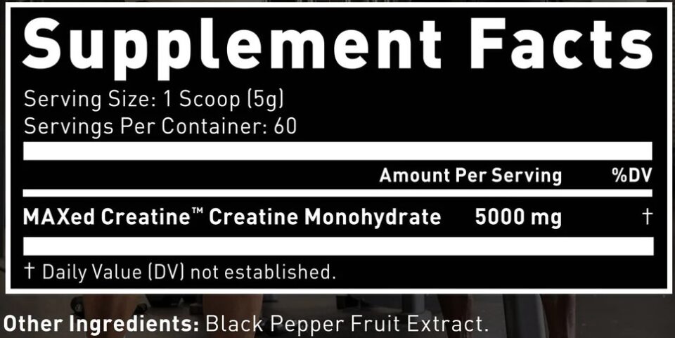 Kaged Creatine Elite: MAX Catalyst Monohydrate for Max Absorption