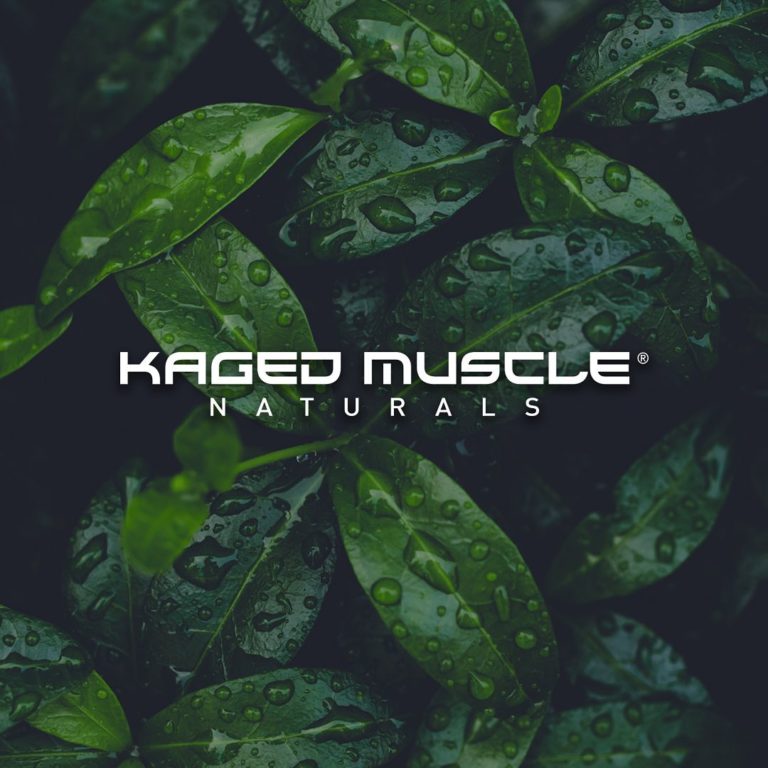 Kaged Muscle PLANTEIN: Powered By ioPea Protein