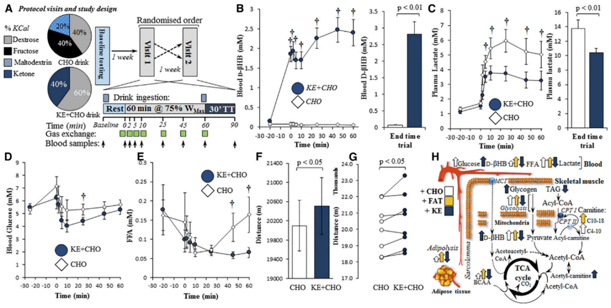 Ketones in a Can: The Case for Stimulant-Free Energy Drinks with BHB