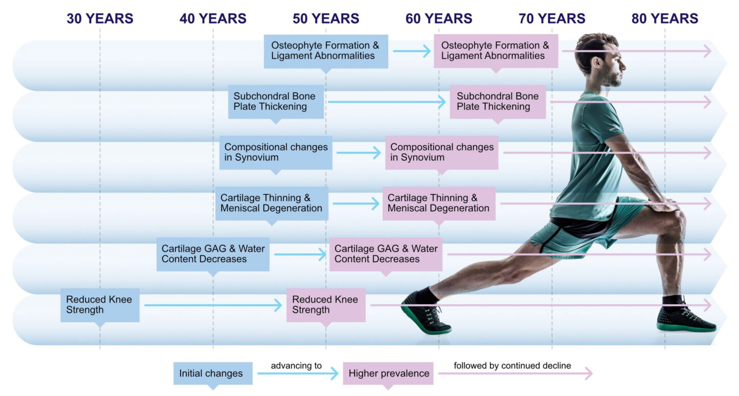 Kinexa: PLT Health's Whole-Joint Longevity Complex, Backed by MRI ...