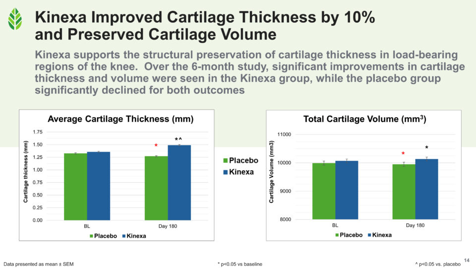 Kinexa: PLT Health's Whole-Joint Longevity Complex, Backed by MRI ...